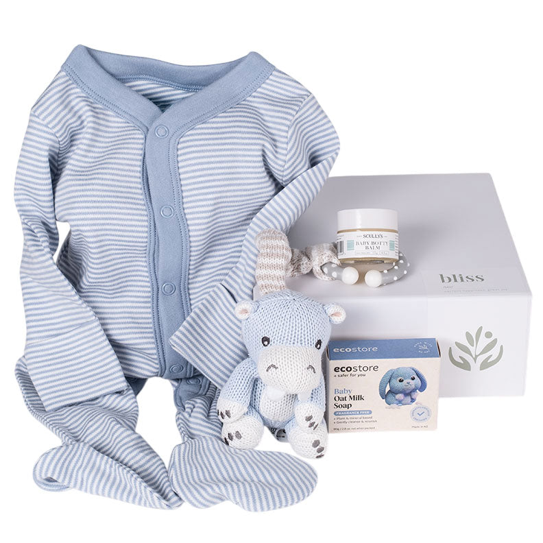 Sweet Beginnings Baby Box | Bliss Gifts & Baskets